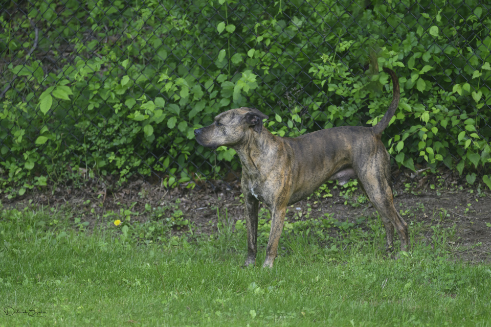 Reliable | dbifulco | Blipfoto