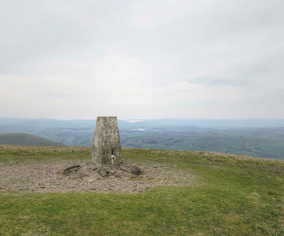 The Calf | Technophobe | Blipfoto