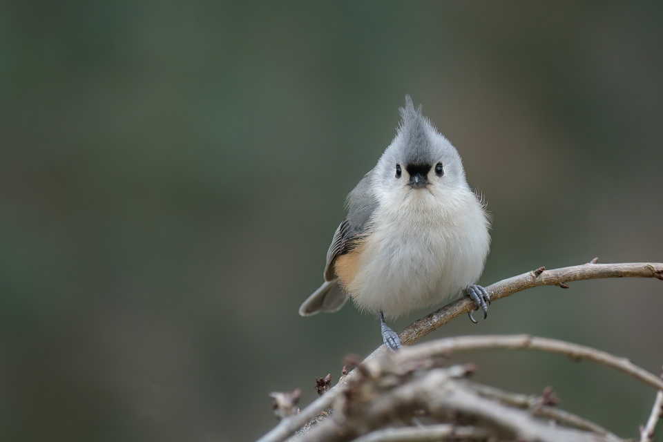 Brrrrr | dbifulco | Blipfoto