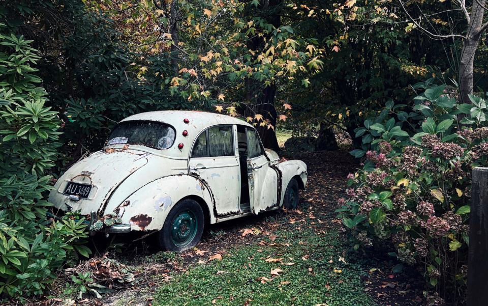 Final... | Miffy | Blipfoto