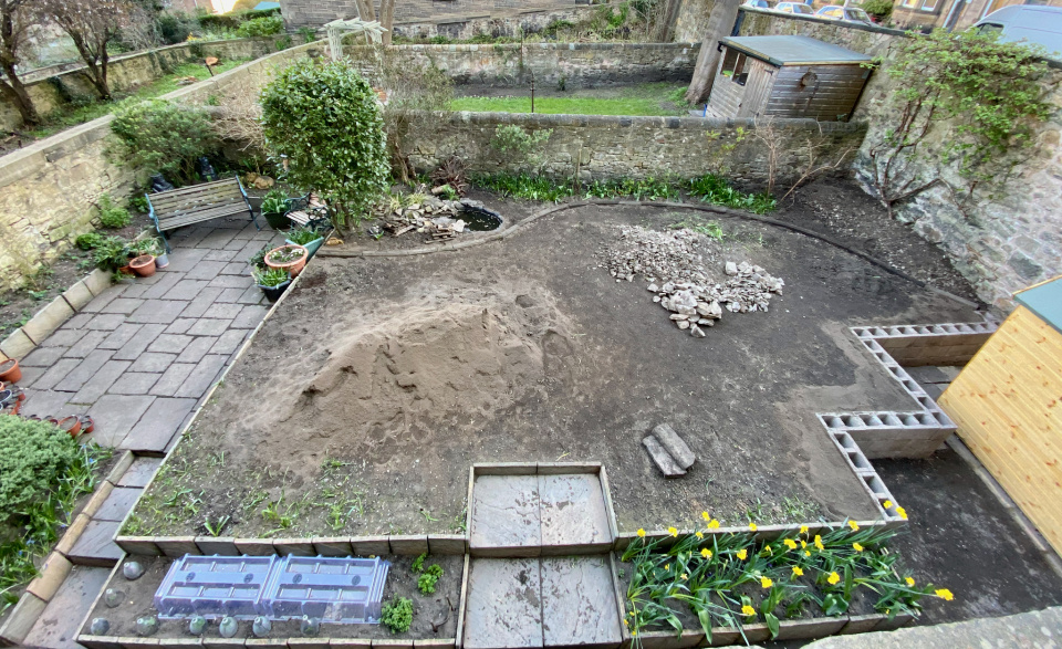 Garden: April chilly morning | hazelh | Blipfoto