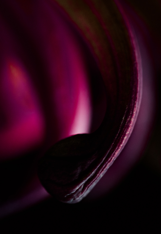 So I'm still milking... | trisharooni | Blipfoto