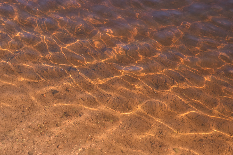 pond reflections. | bighill | Blipfoto