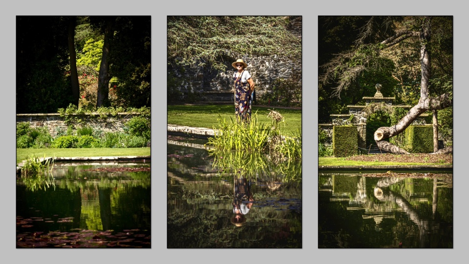 Still | maureen6002 | Blipfoto