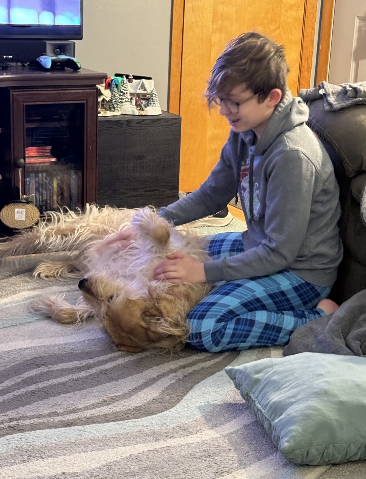 Soaking Up The Belly Rubs | TurtleBug | Blipfoto