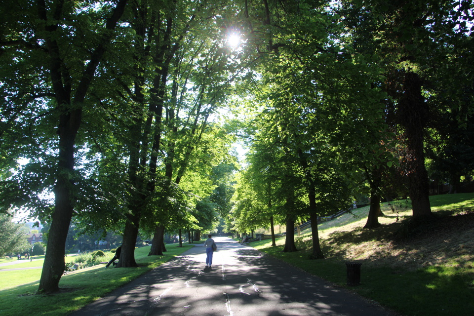 Evening Stroll | LincolnWarrior | Blipfoto