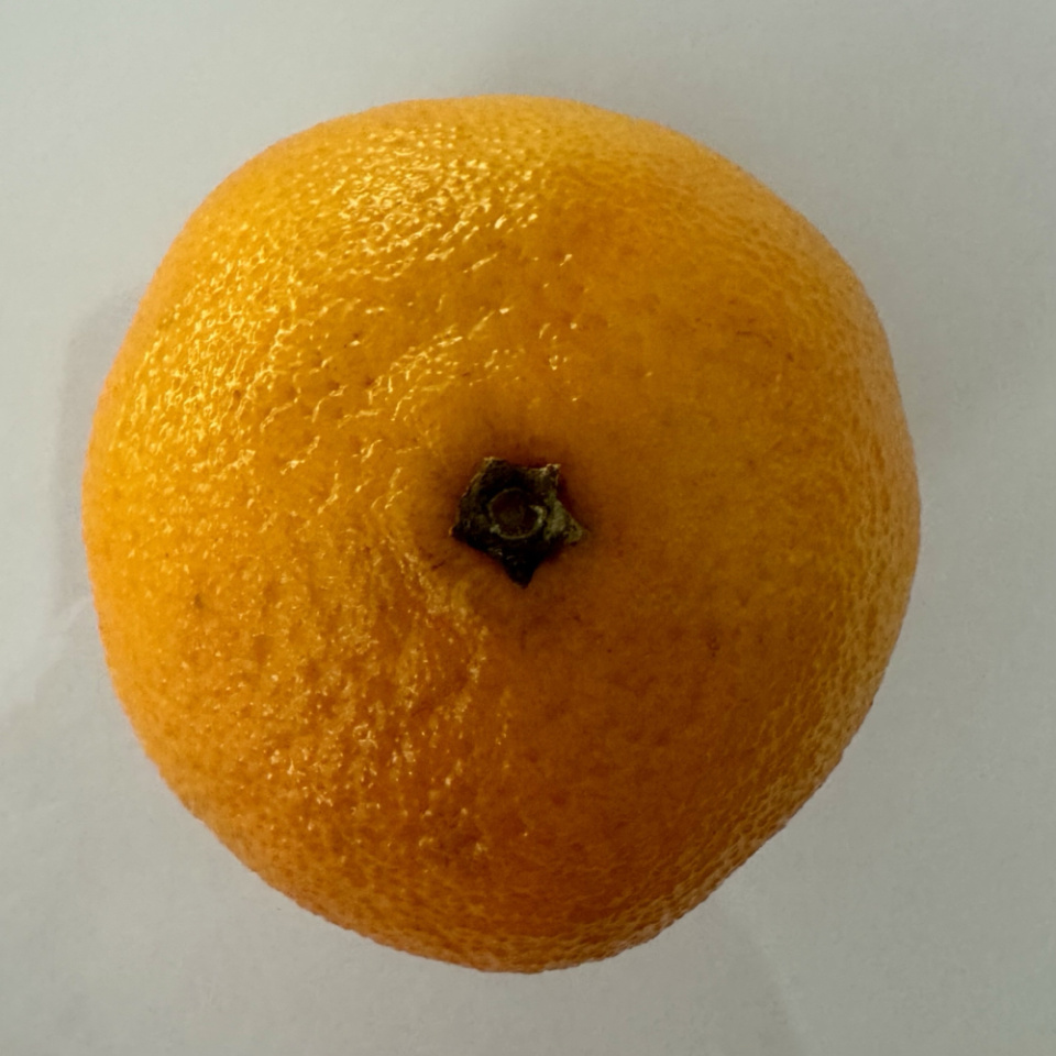 Clementine | Pixelstate | Blipfoto