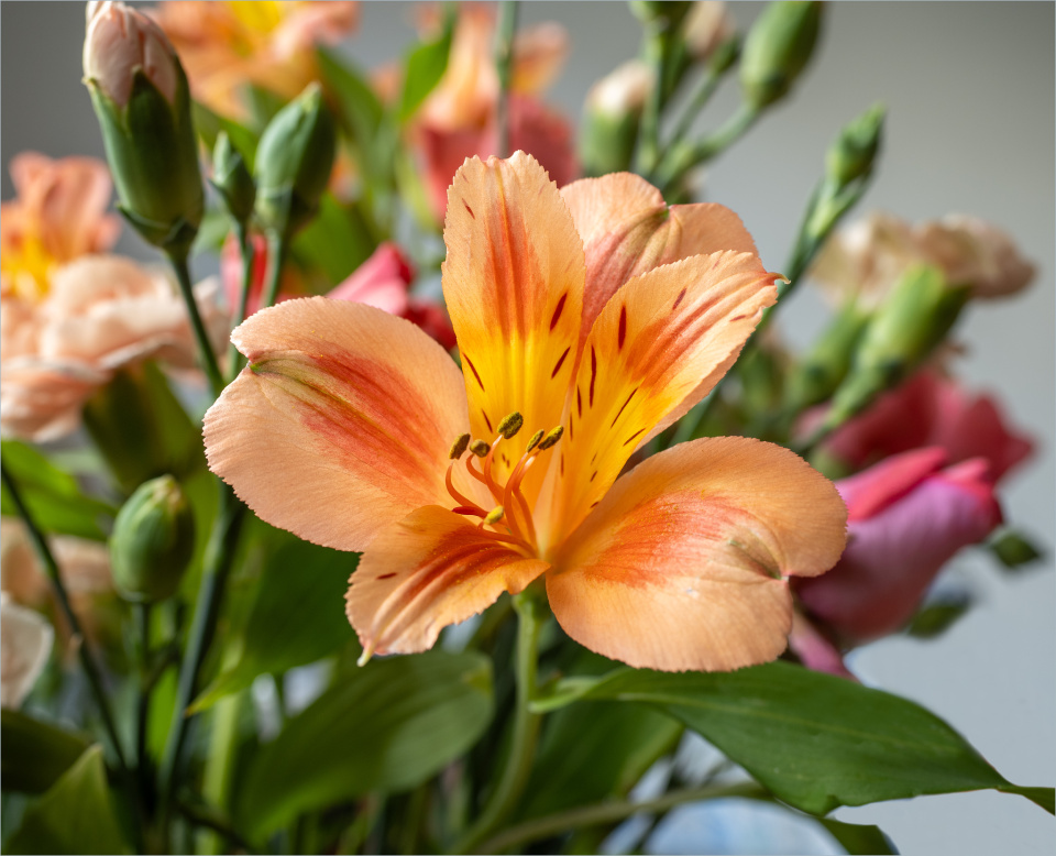 Another | suejay50 | Blipfoto