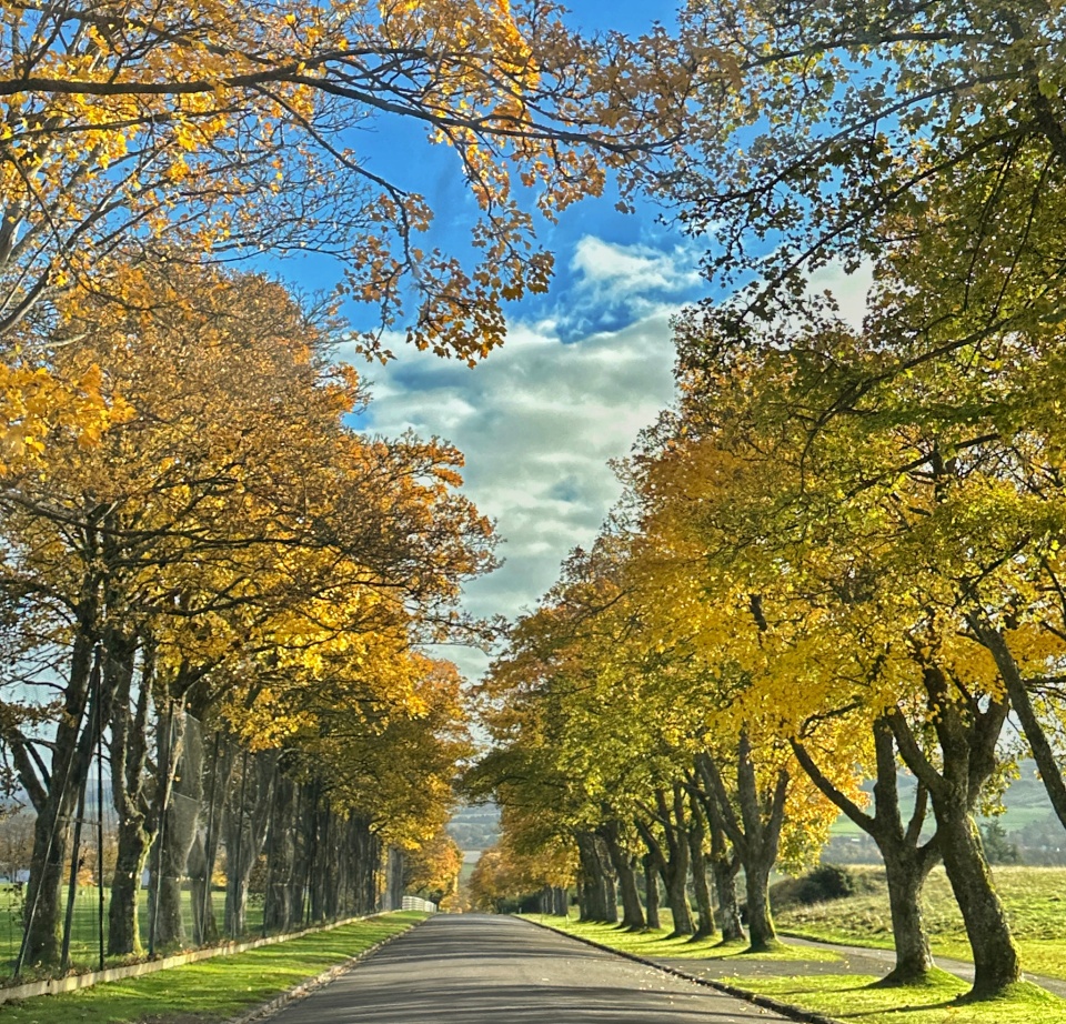 Golden Arch... | Damnonii | Blipfoto