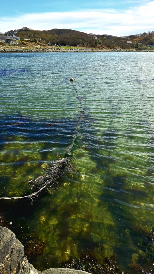 Monster! | snapper | Blipfoto