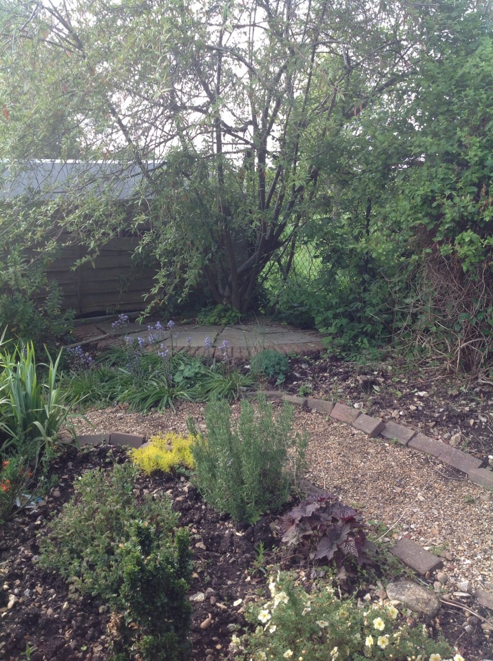 Garden | Confused | Blipfoto