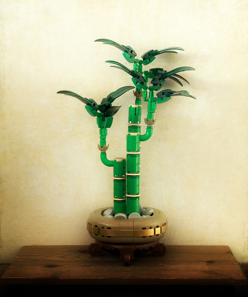 bamboo | sk | Blipfoto