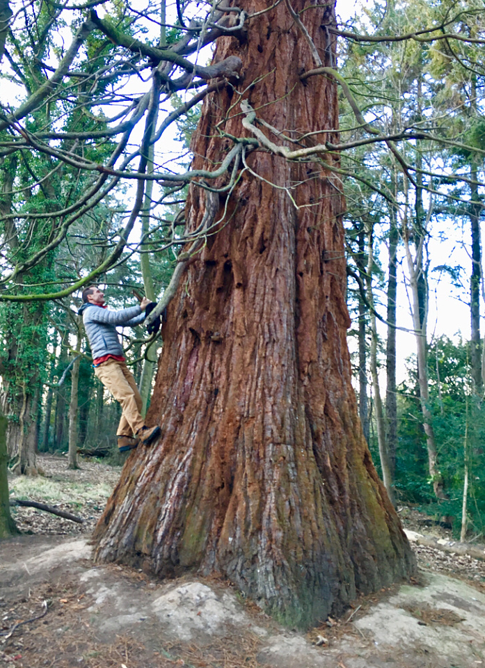 Tree Hugger | mrspuke | Blipfoto