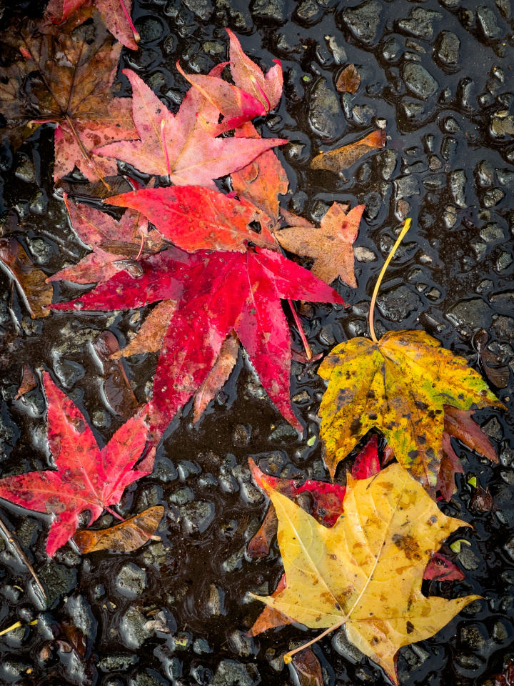 Damp Colours | AnnieAndChris | Blipfoto