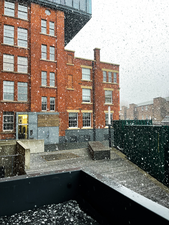 Now here is a rare sight | chrispybox | Blipfoto