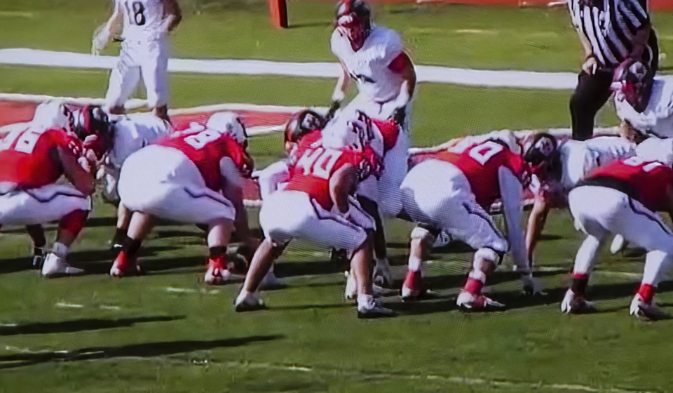 Number 40 | bugsman | Blipfoto