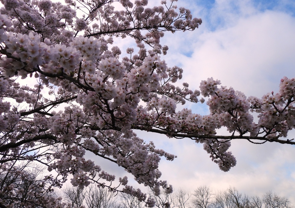 Spring | sister | Blipfoto