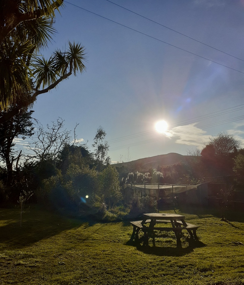 Another lazy one | Mima | Blipfoto