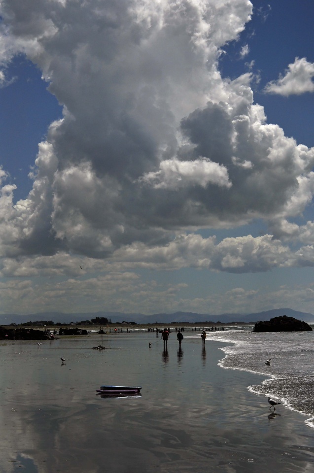 Summer at Sumner | mpp26 | Blipfoto