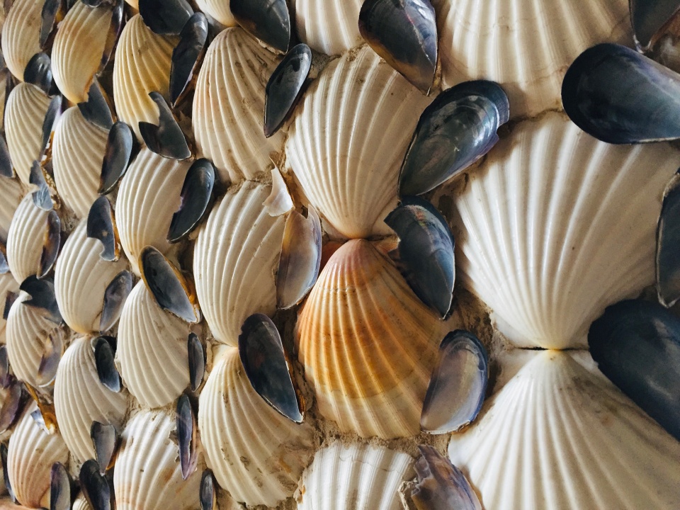 Shells in the Queen Mother Memorial Garden | hazelh | Blipfoto