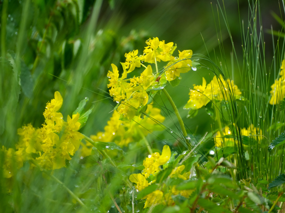 April weather (with snow, see extra) | Daenu | Blipfoto