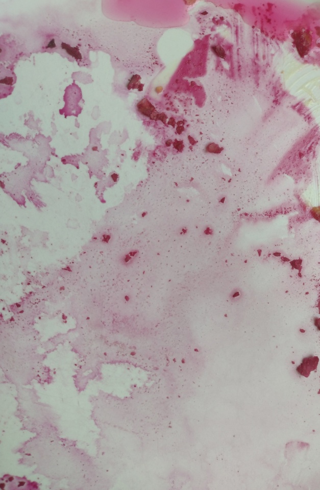 A Quiet Sunday and Most Boring Blip Ever! | NightOwl45 | Blipfoto