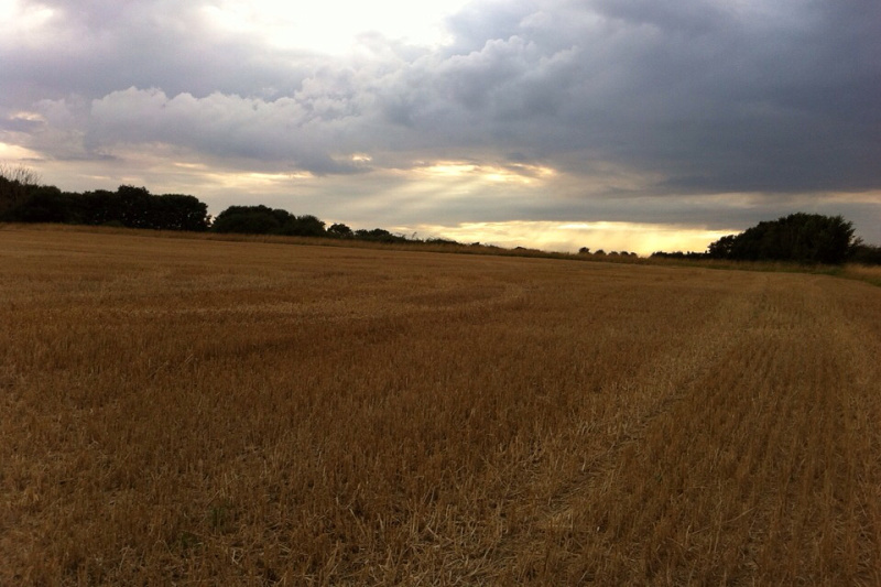 After the Harvest | Alison666 | Blipfoto