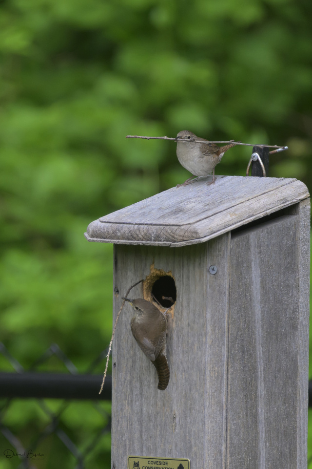 Teamwork | dbifulco | Blipfoto