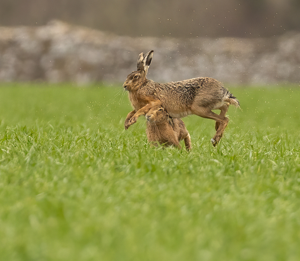 Kapow | Hillyblips | Blipfoto