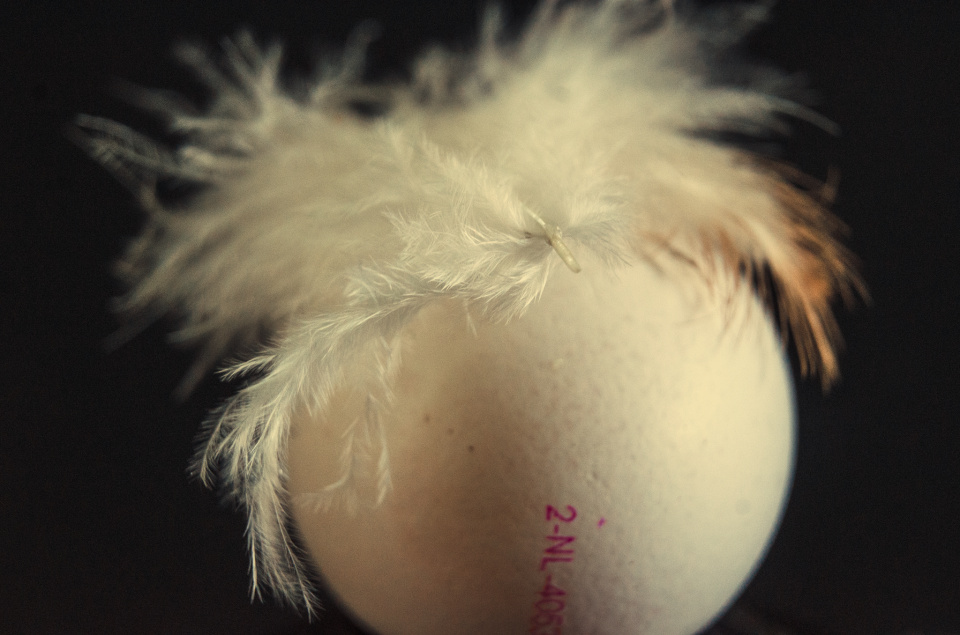 Fluffy head | Ingeborg | Blipfoto