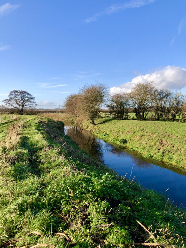 Midday walk | smilelikeabunny | Blipfoto
