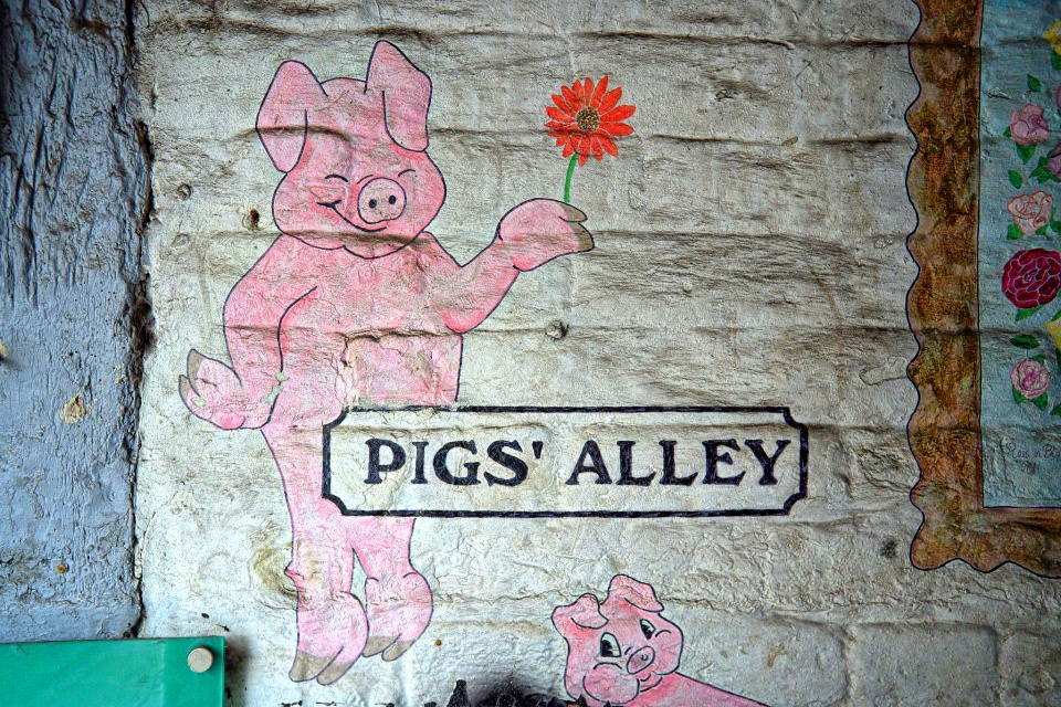 Pigs Alley | BobsBlips | Blipfoto