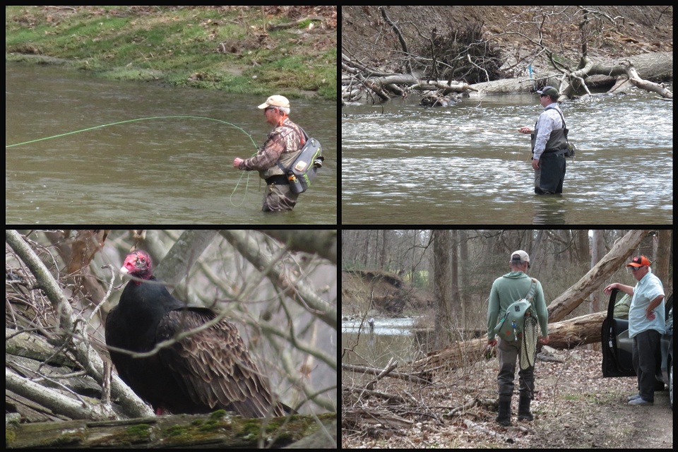 Fish Tales | Conchetta | Blipfoto