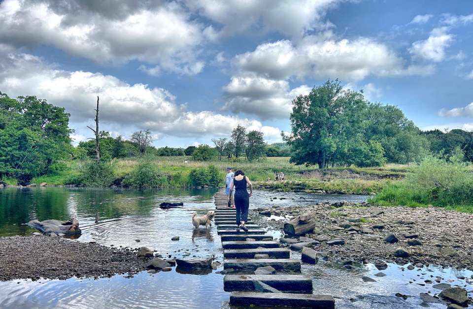 Taking in the Waters | mambo | Blipfoto