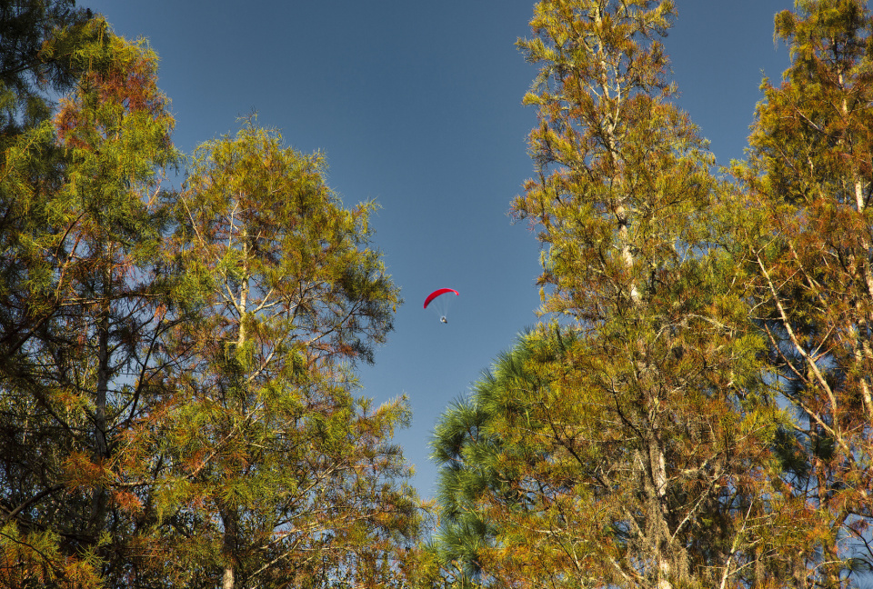 Flying High | bugsman | Blipfoto