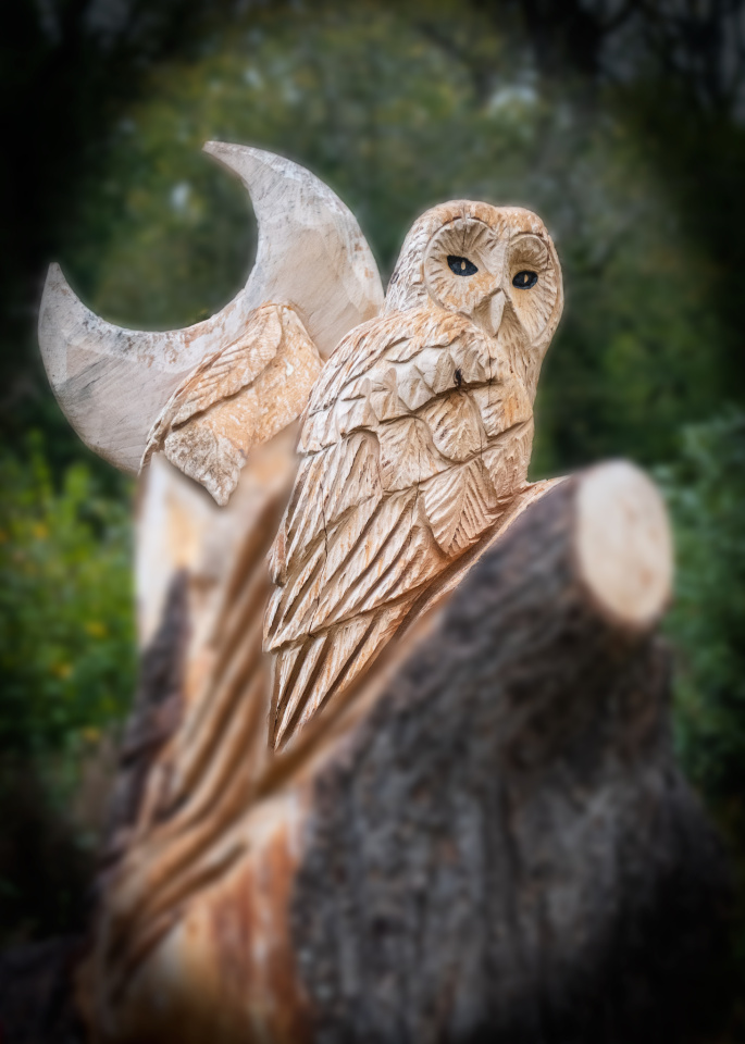 Whooo.... hooo, hoooo | Kernow | Blipfoto