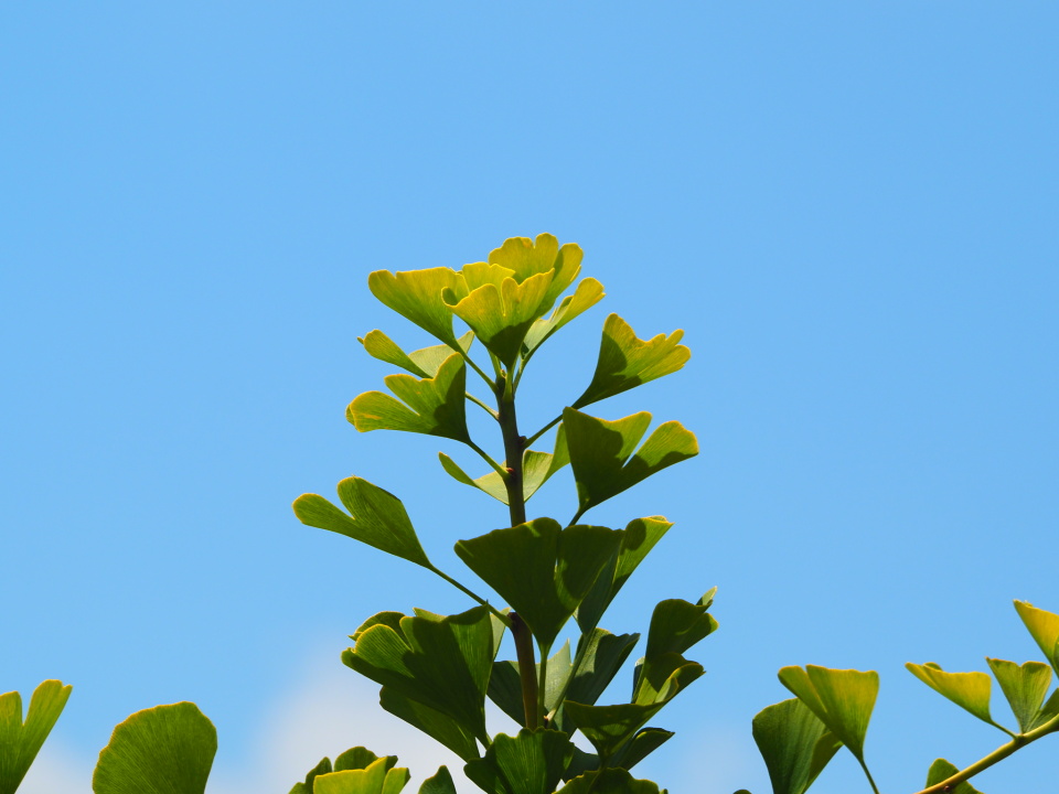 Tiny Tuesday... | pkln | Blipfoto