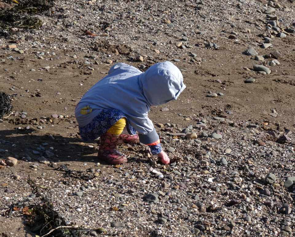 Dhoon Bay | sheilwill | Blipfoto