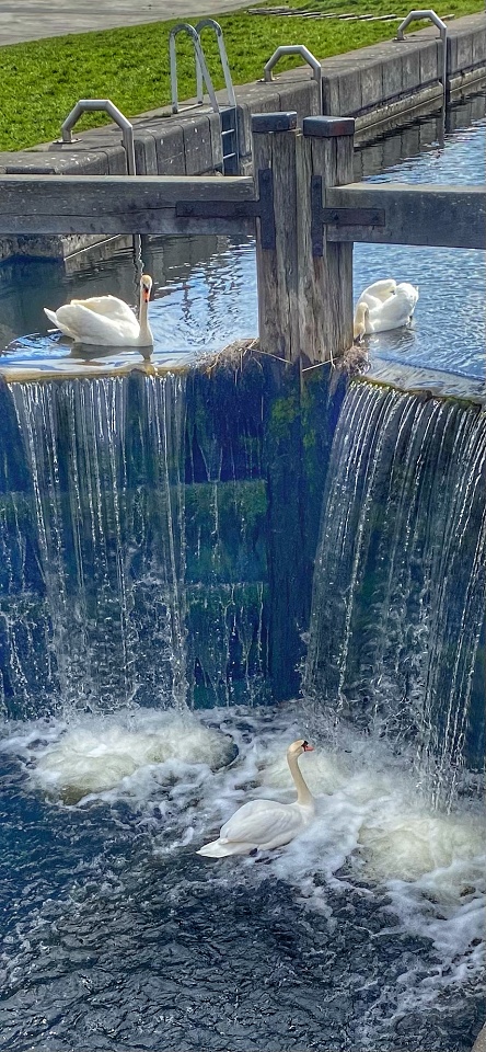 Two up one down. | jimbo2750 | Blipfoto