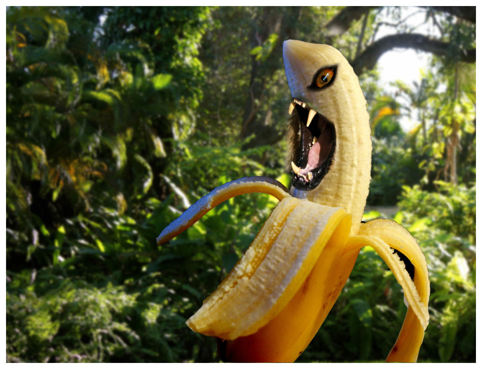 Banana - The Evil Fruit | BlueHamish | Blipfoto