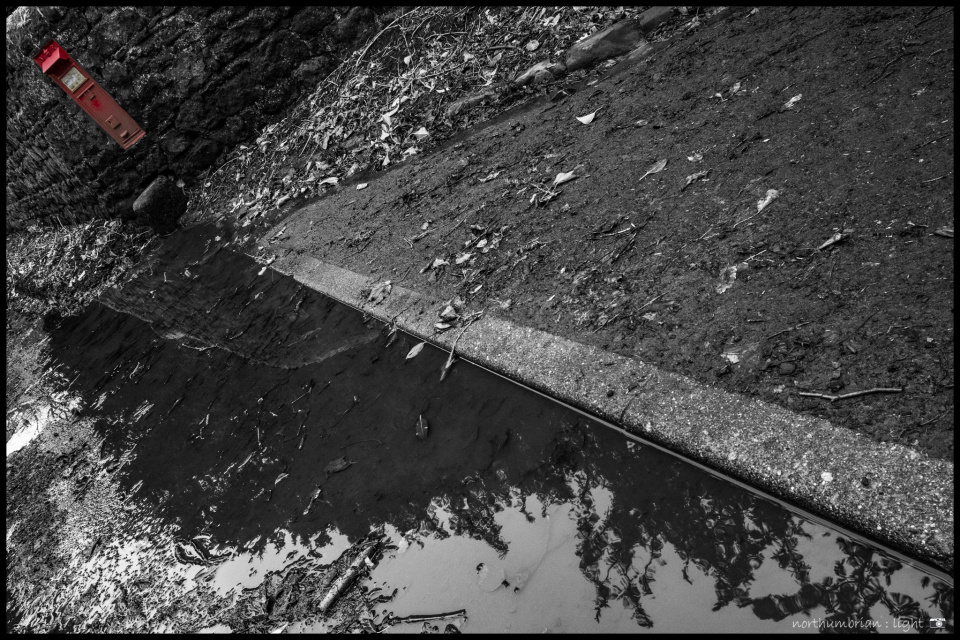 The reason ... | RobinDown | Blipfoto