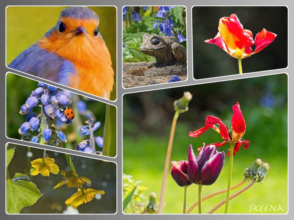 Tiny Tuesday 466 :: TT466 :: A Tiny Bit... | Skeena | Blipfoto