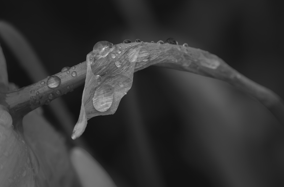 The Natural World | dbifulco | Blipfoto