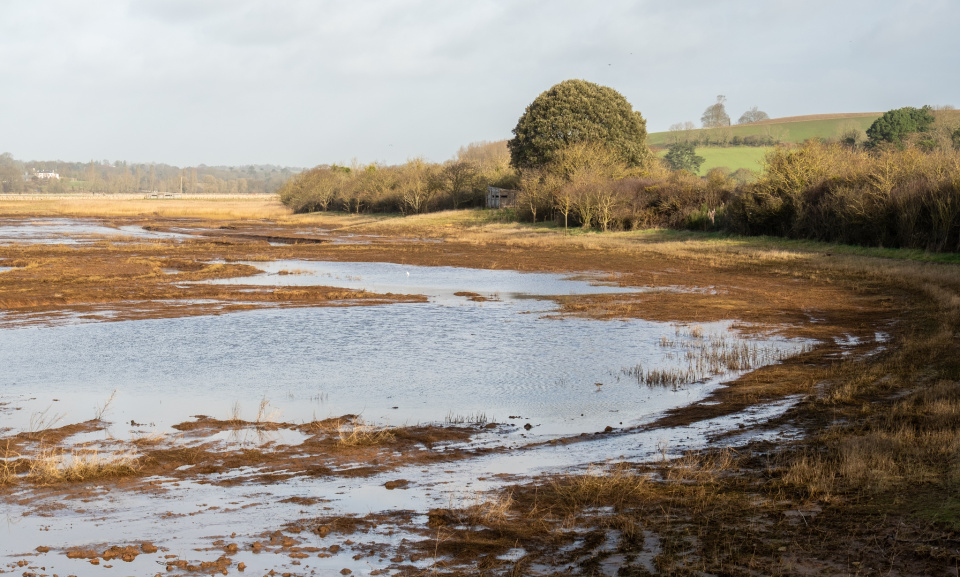 Low tide Otter Estuary flood plains | Stella2 | Blipfoto