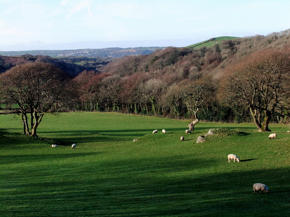 Hen Galan, Cwm Gwaun | ceridwen | Blipfoto