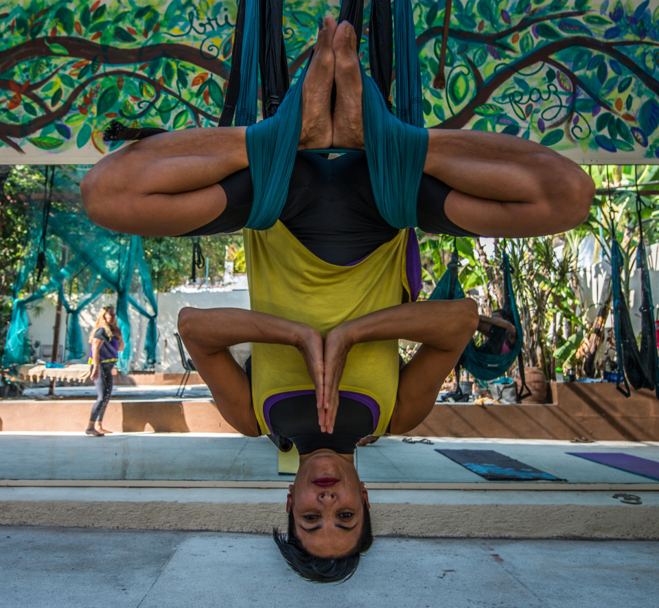 Inverted Lotus | RaspberryJefe | Blipfoto