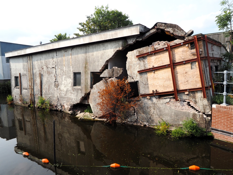 Just in time.... | pkln | Blipfoto