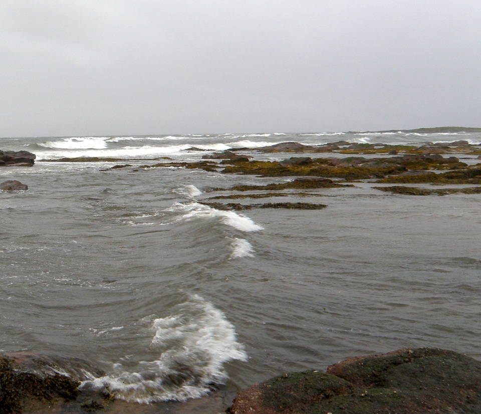 Horizontal rain! | Scottishtwist | Blipfoto