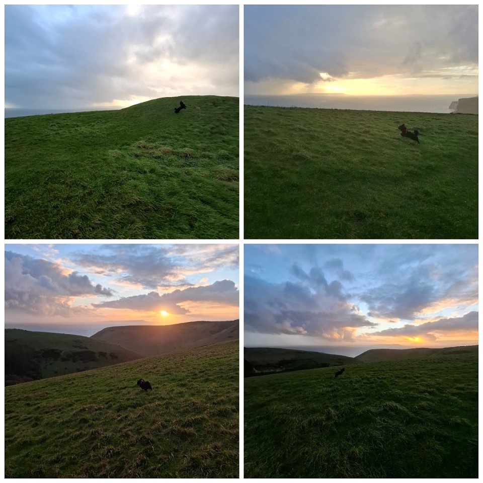 Setting Sun, Leaping Dog | TKM | Blipfoto