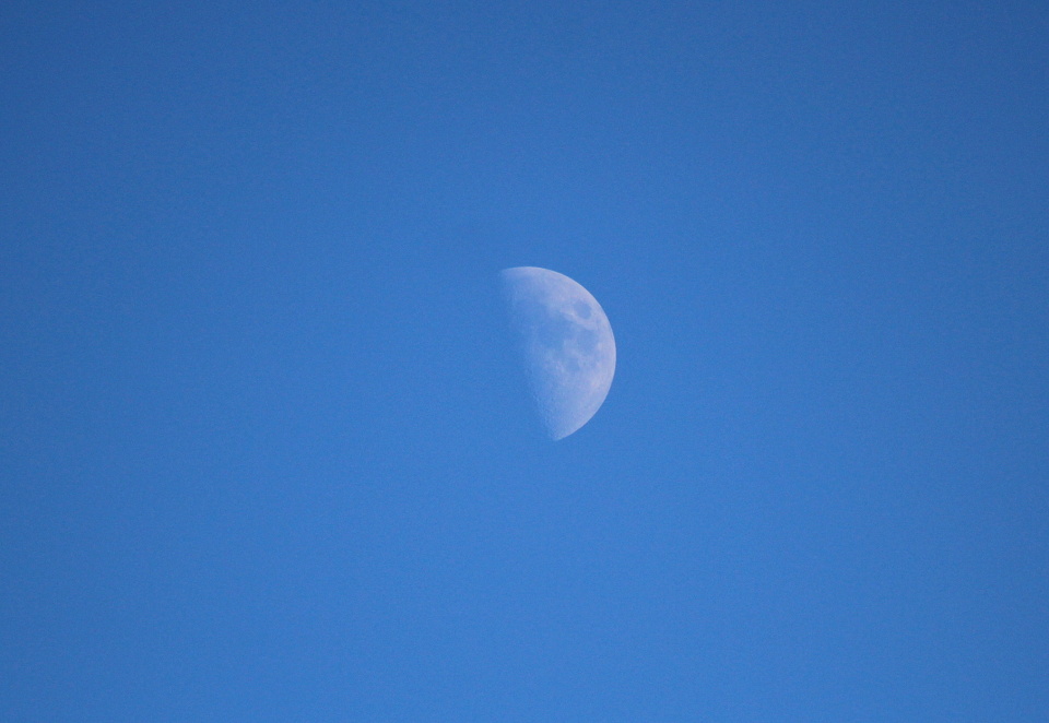 Over the Moon! | theBroon | Blipfoto